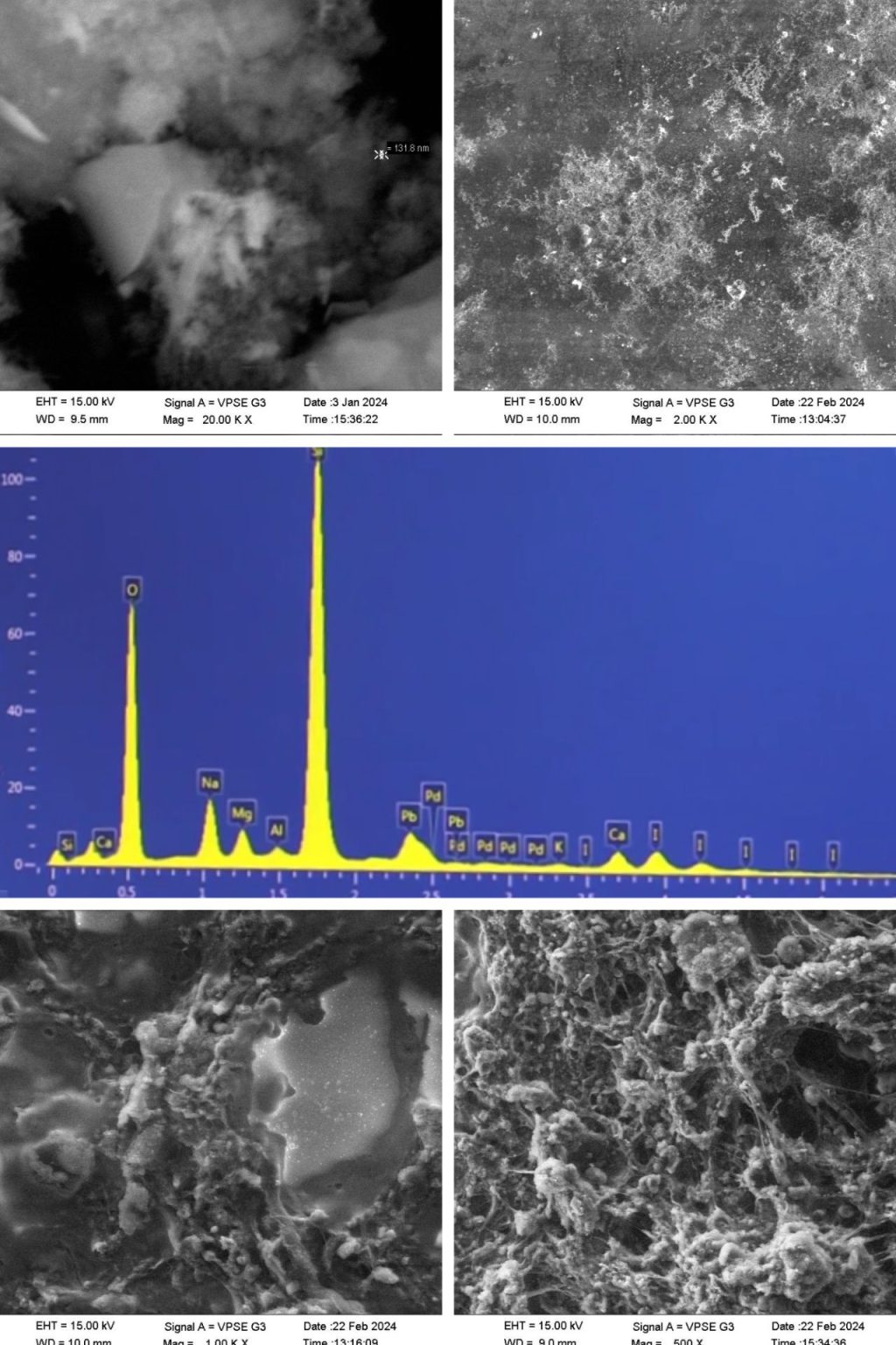 Scanning Electron Microscopy Sem Edx Testing Lab